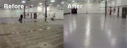 Success Stories - Concrete Flooring Needs Updates to be FDA Compliant
